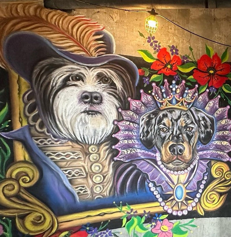 Affordable Grooming Shears